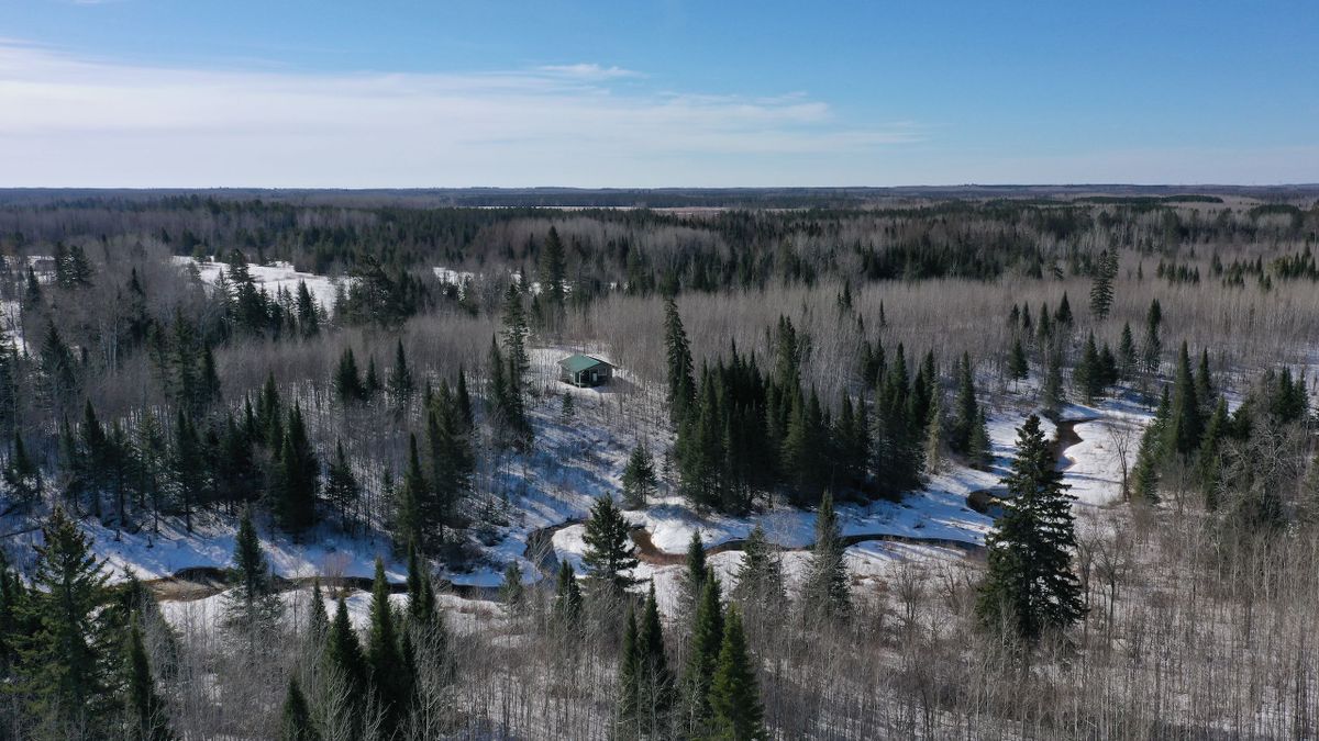 Large Hunting Property With Cabin In Northern MN | Whitetail Properties