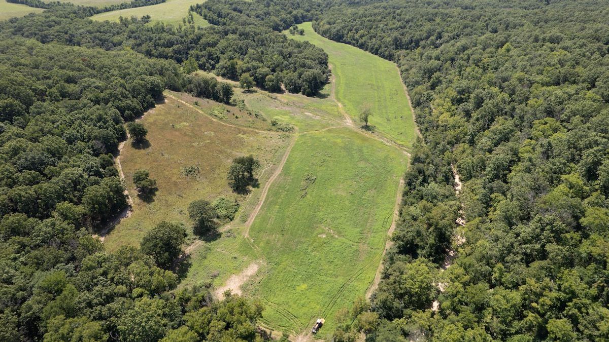 Hunting Property With Custom Management Plan | Whitetail Properties