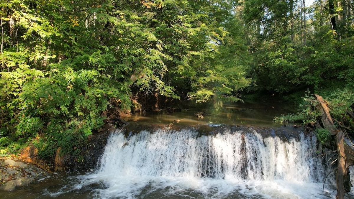 BonBrook Mill | Whitetail Properties