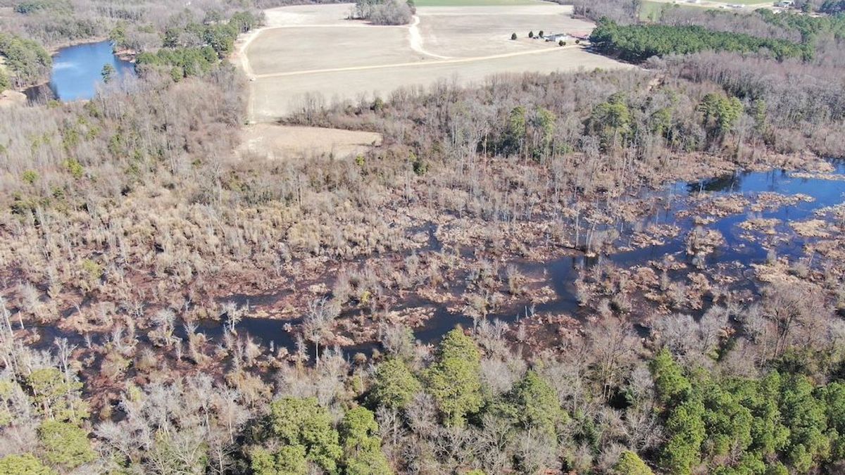 Prime Farmland And Hunting Retreat With Ponds And Wildlife | Whitetail ...