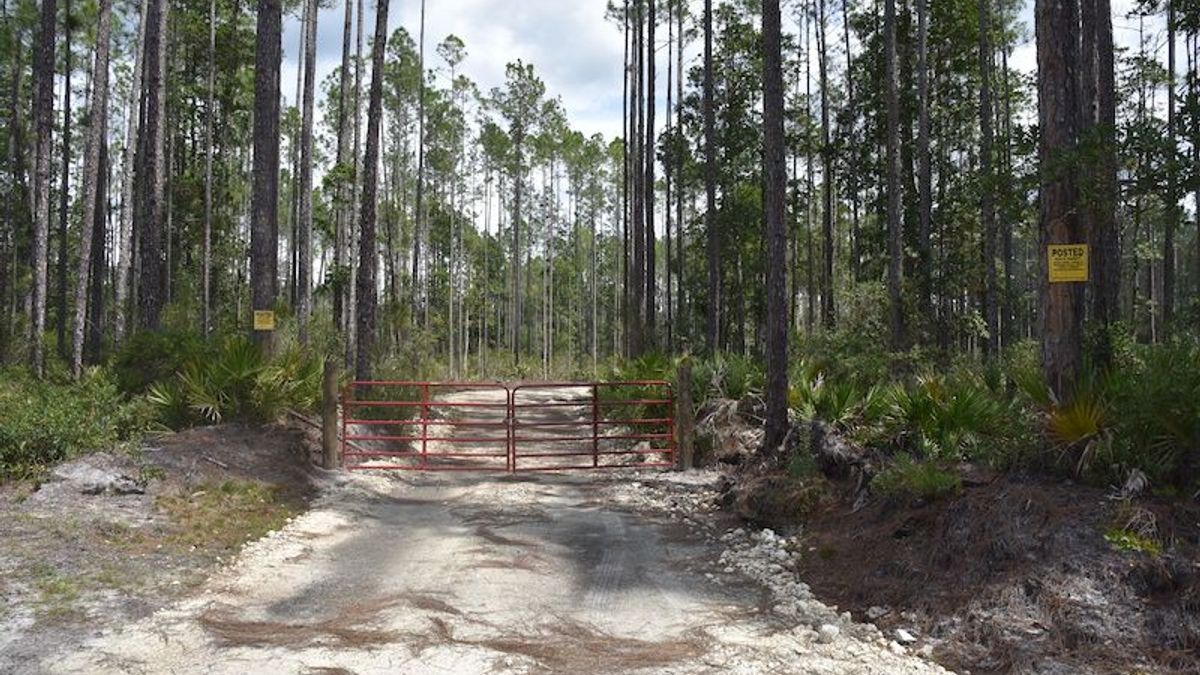 Mature Timber Tract With Two Acres Cleared And A Gravel Pad | Whitetail ...