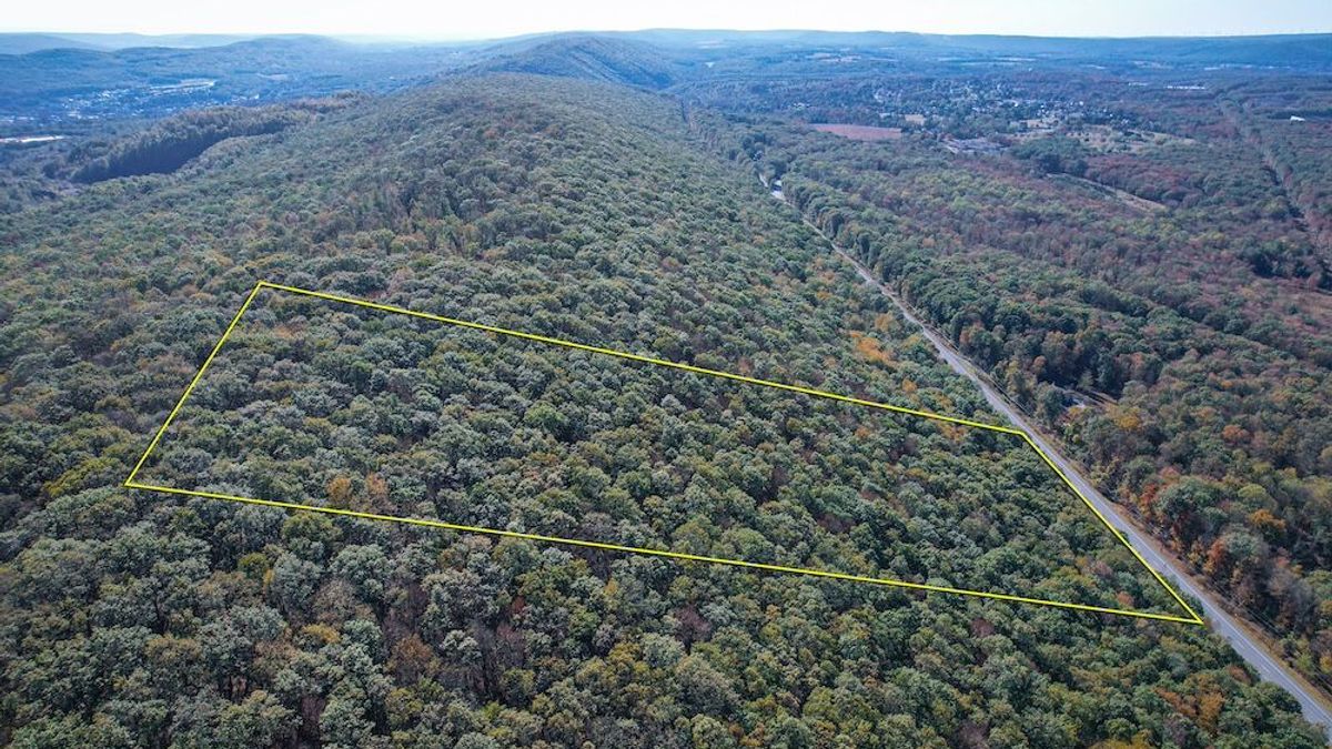 Affordable Recreational Property With Timber Value | Whitetail Properties