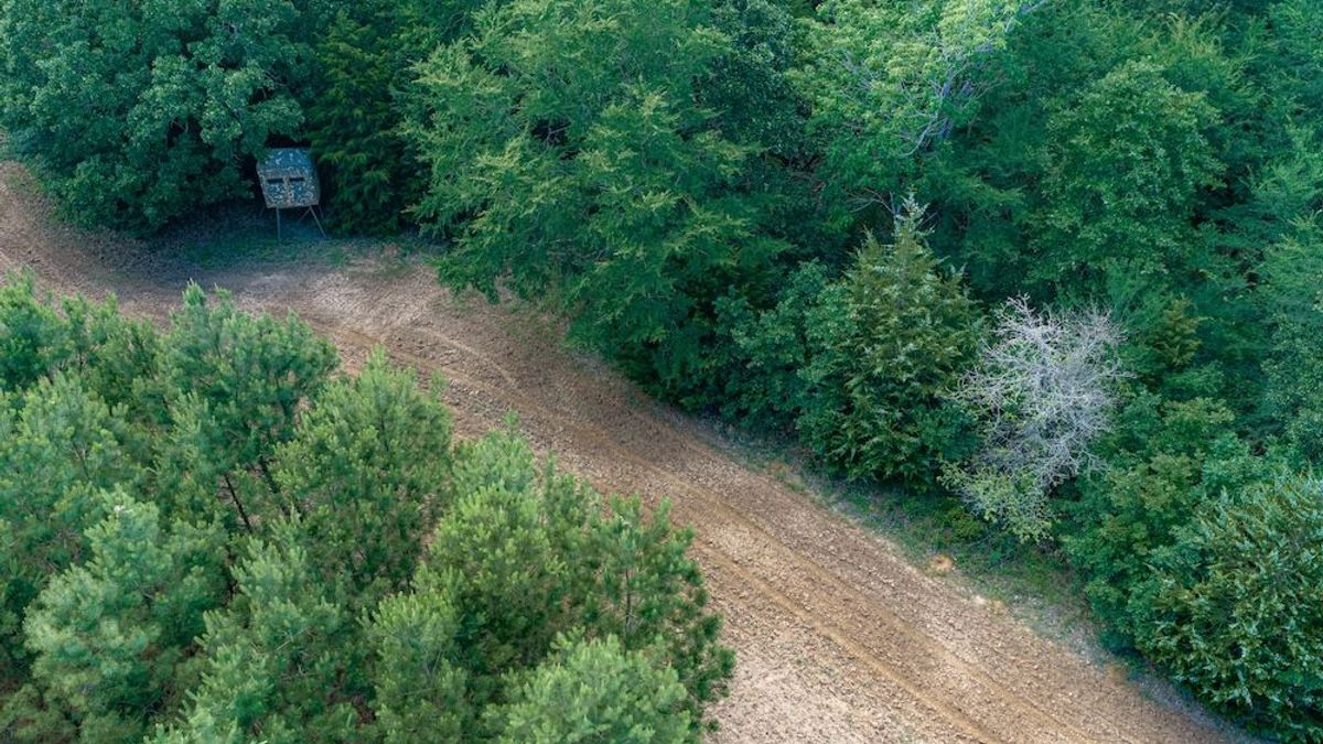 Premier 180± Acre Whitetail Hunting Retreat | Whitetail Properties