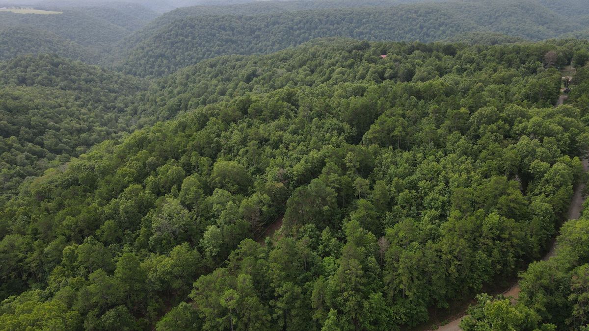 Wooded Building Tract With County Road Frontage And Electric ...