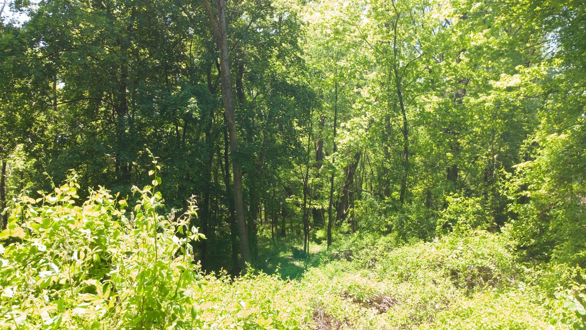 Secluded City Land Near Attractions, Quiet Neighborhood | Whitetail ...