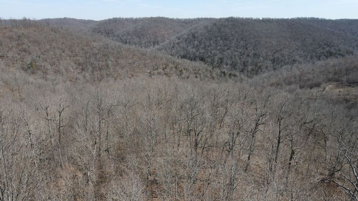 Rolling Hardwood Timber Tract With Excellent Hunting And Character ...