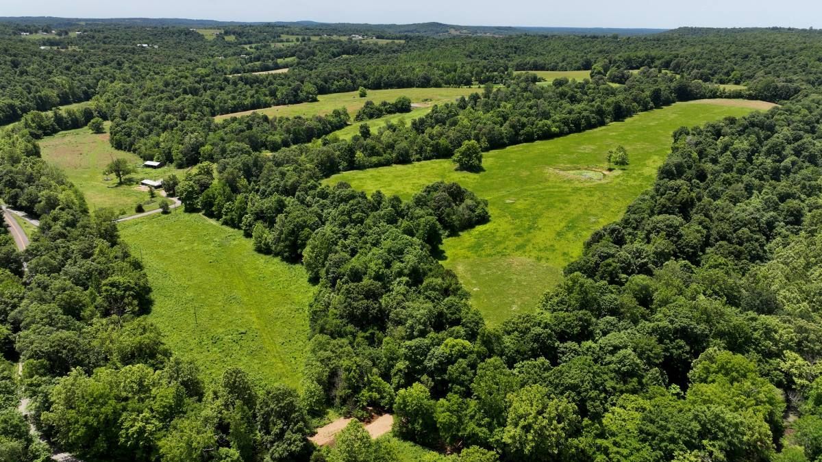 Scenic Hunting Tract In Western Kentucky | Whitetail Properties