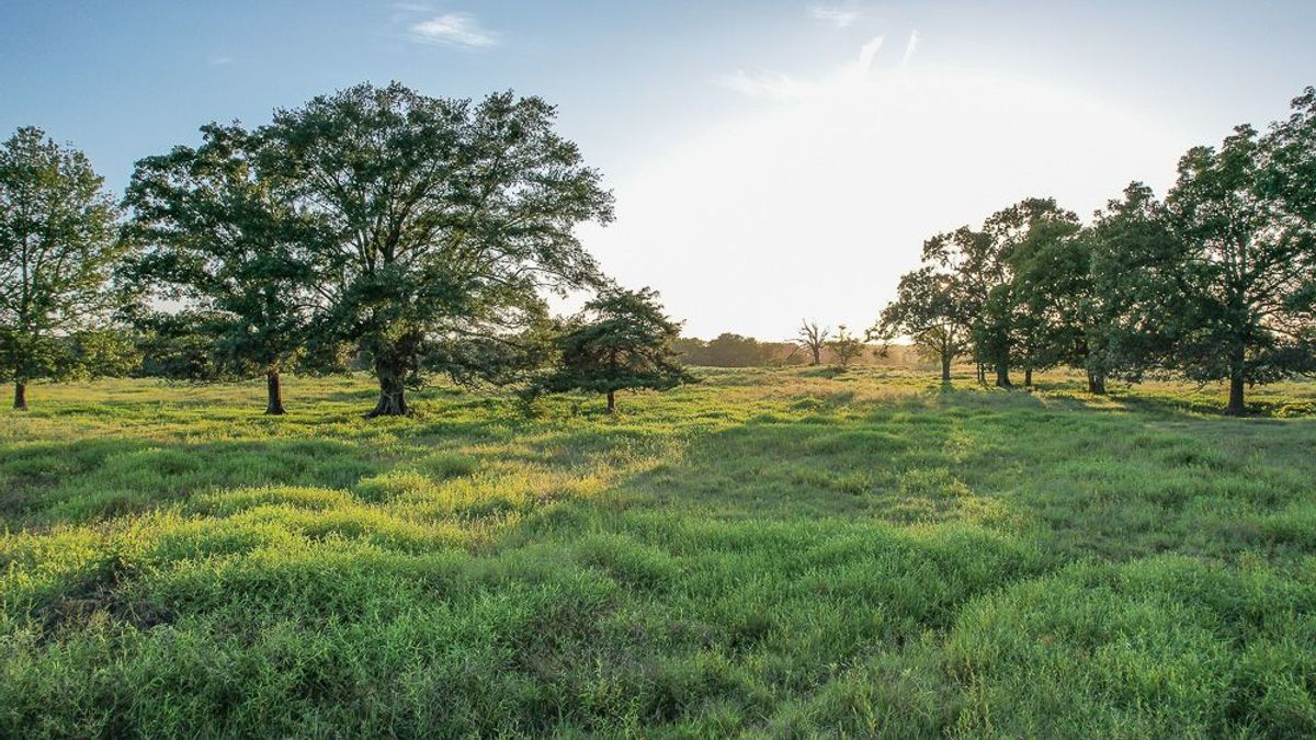Beautiful Cattle Ranch and Home Place | Whitetail Properties