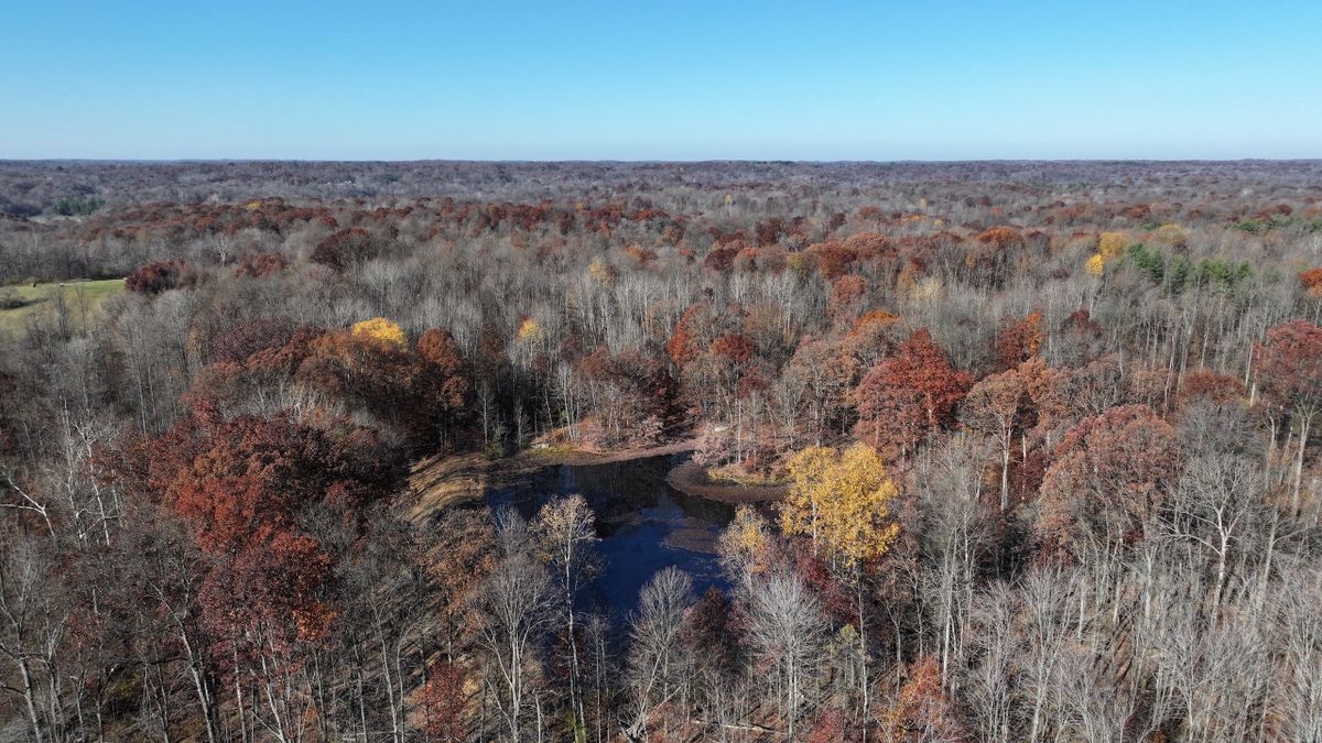 Beautiful Wooded Acreage With A Pond | Whitetail Properties
