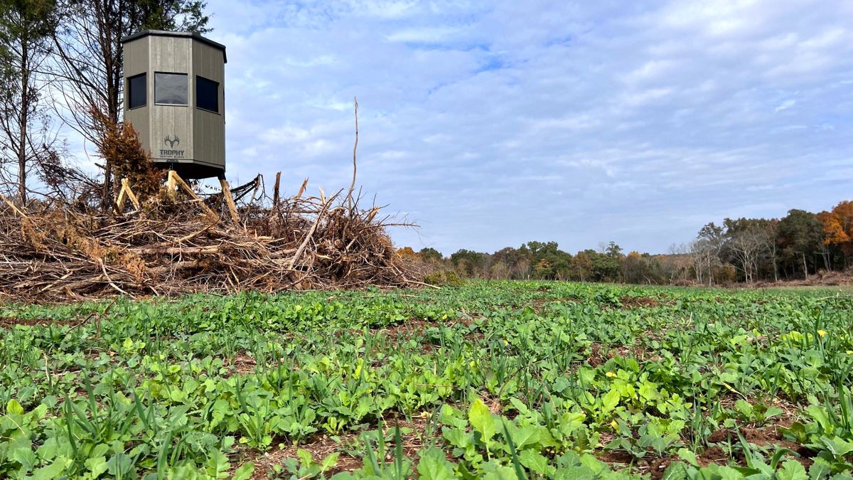 Turn-Key Hunting Farm With History Of Producing GIANTS! | Whitetail ...