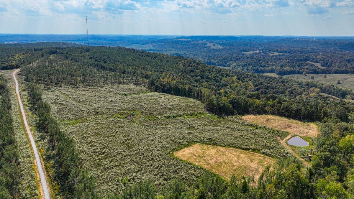Large Acreage Turn-Key Hunting Tract With Extensive Habitat And ...