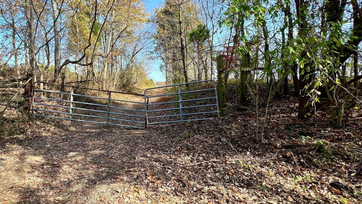 Diverse Hunting Property With Build Site Potential | Whitetail Properties