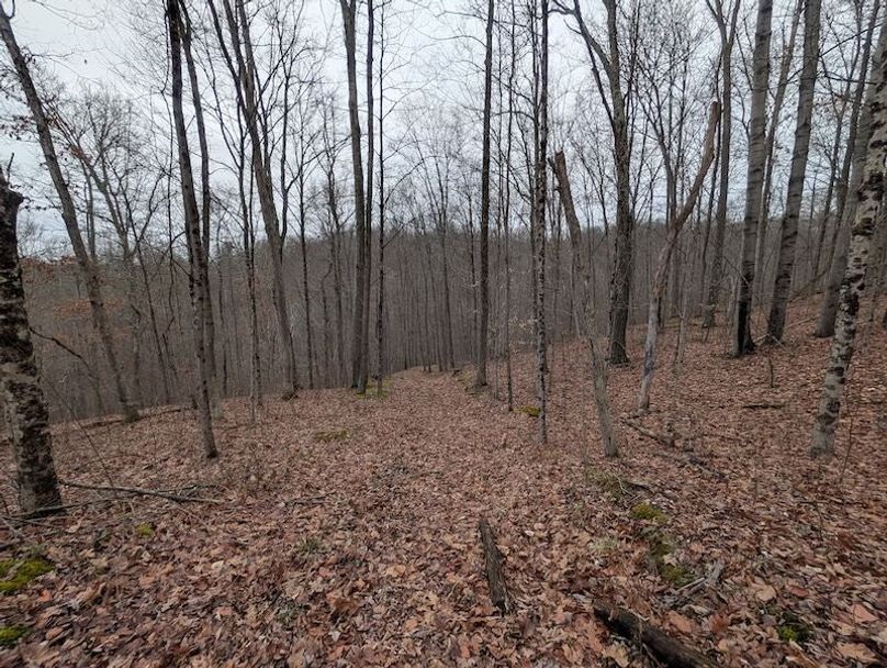 Turn-key Hunting Property With Comfortable Cabin In Southern Belmont ...