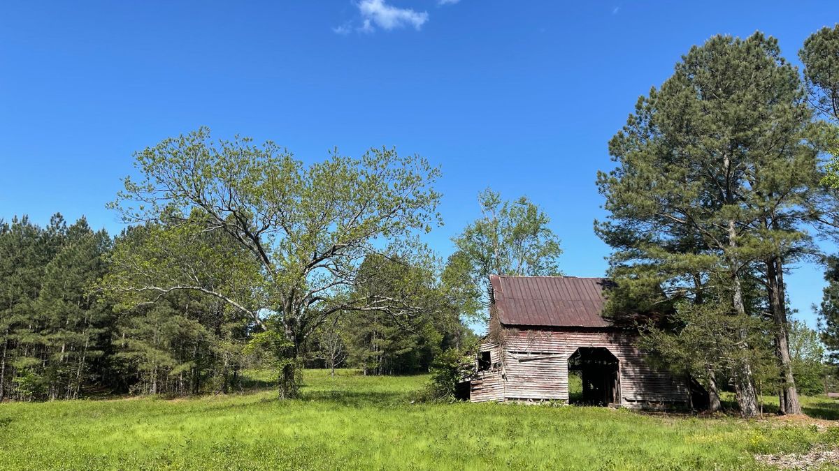 A Peaceful Place To Build A Home And Enjoy Hunting Opportunities In The ...