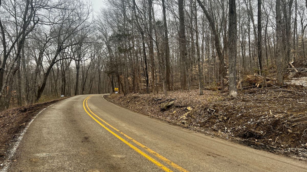 Extraordinary Timbered Acreage With Great Whitetail Deer Genetics In ...