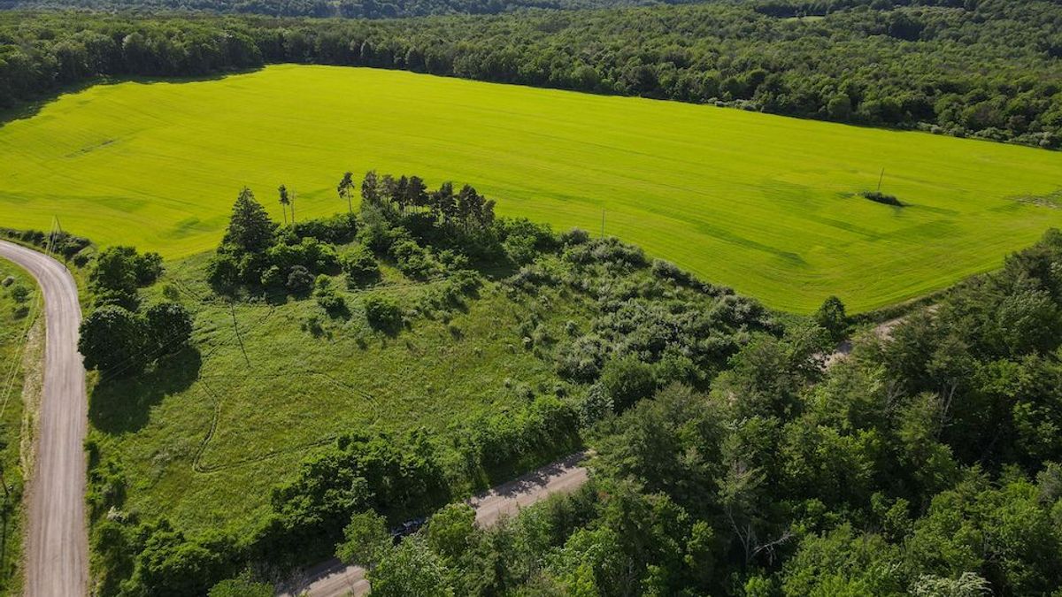 Building Lot On Wooded And Open Acreage | Whitetail Properties