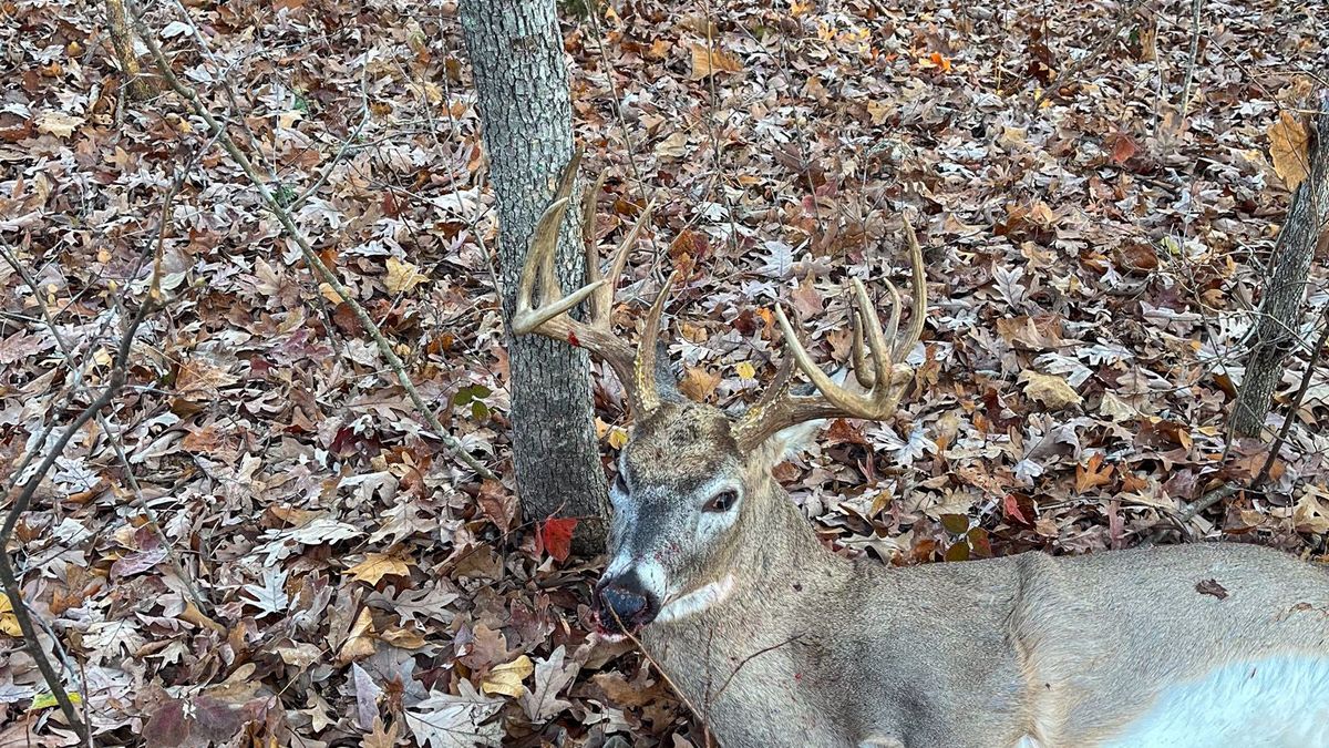 Secluded Hunting Farm With Proven Track Record In Lake Forest Farms ...