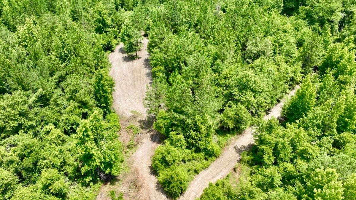 Prime Hunting Land With Great Road Frontage | Whitetail Properties