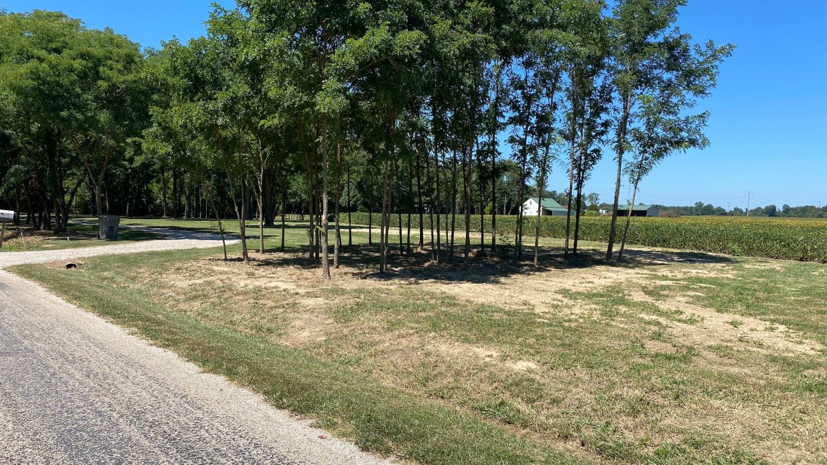 Hobby Farm Potential With Outbuildings, Singlewide Trailer, Tillable ...