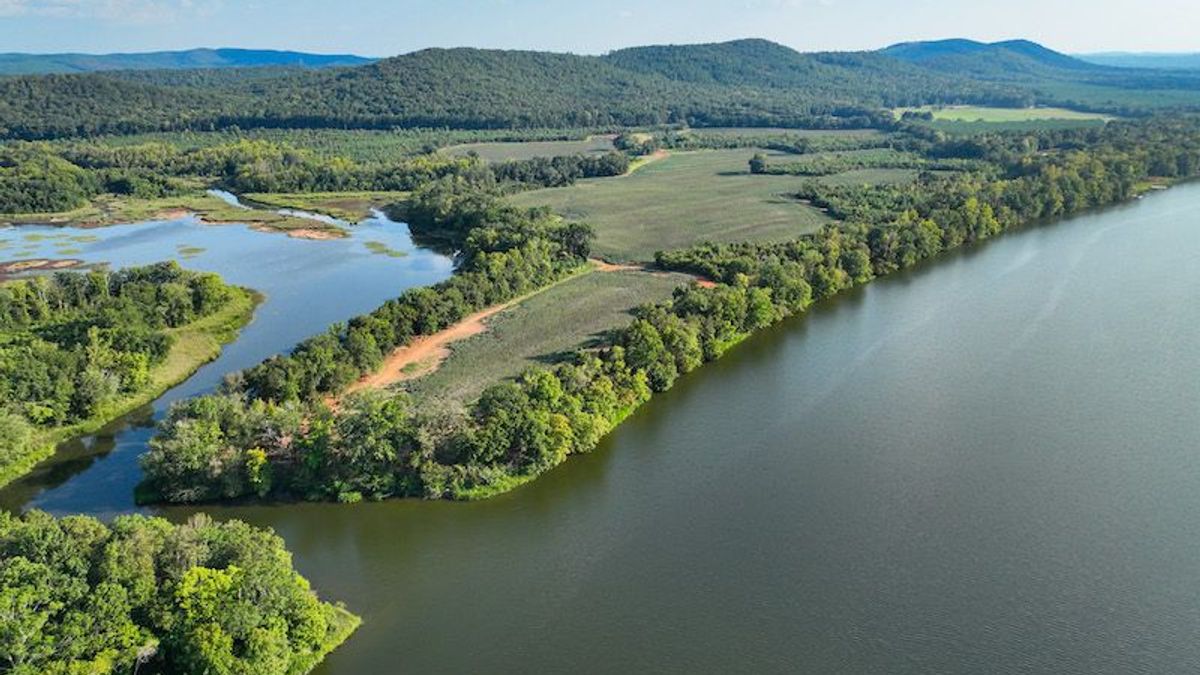 158 Acres On Lay Lake In Talladega County | Whitetail Properties