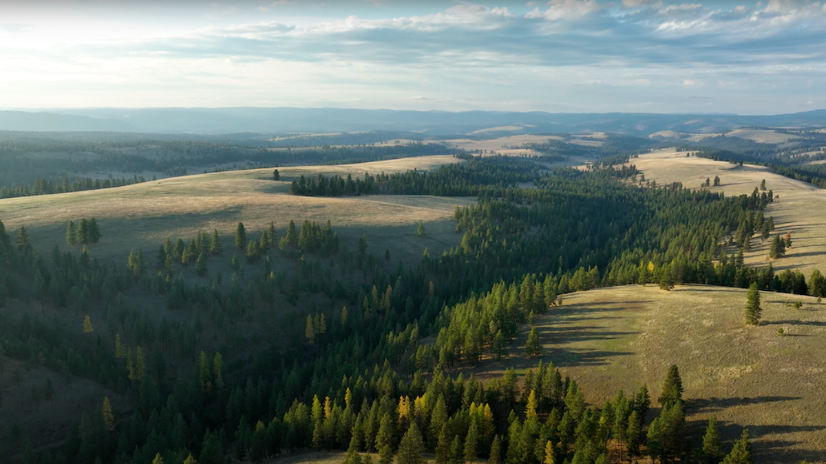 The Elk Song Ranch | Whitetail Properties