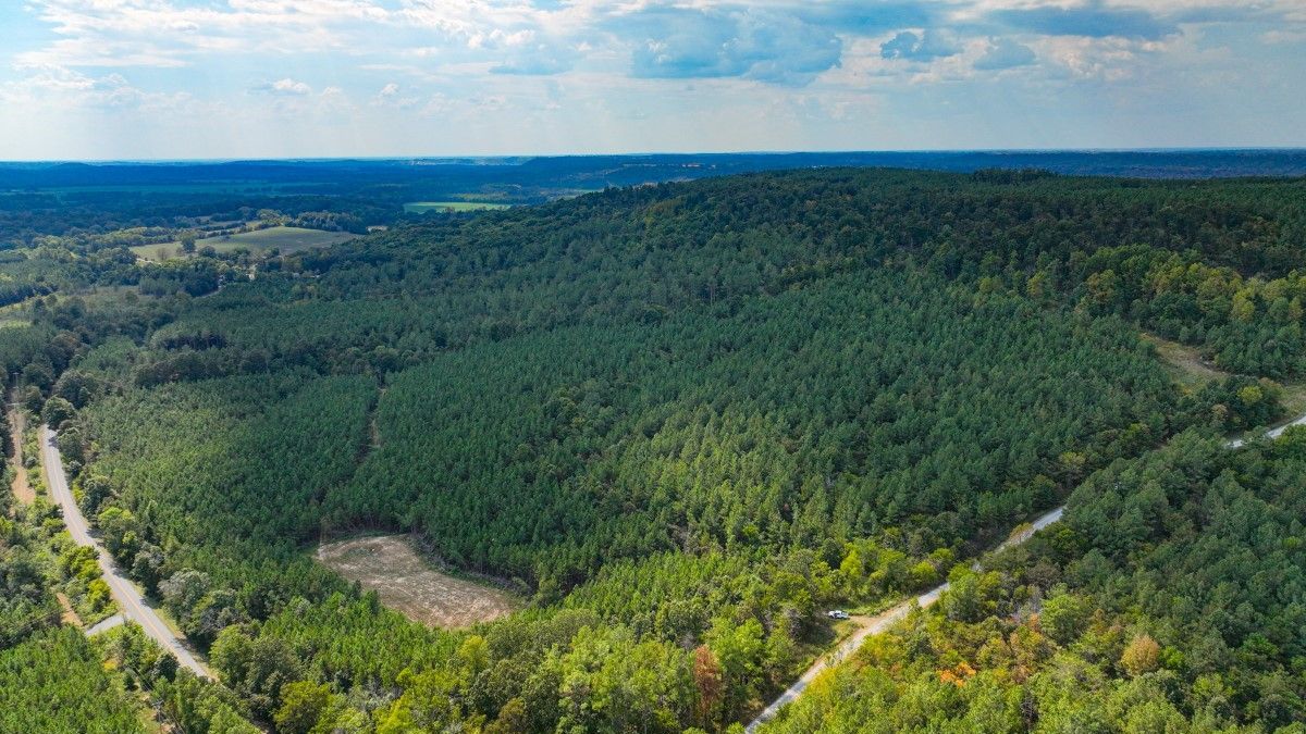 Turn-Key Hunting Tract With Established Habitat And Improvements ...