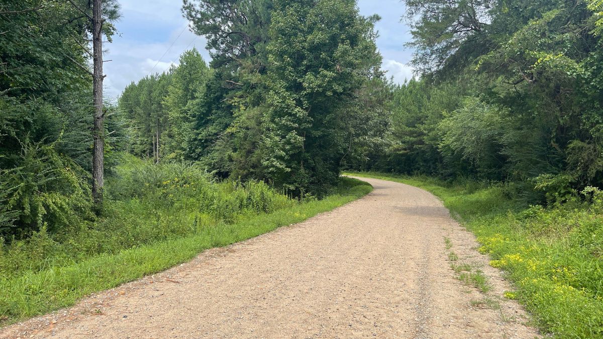 Potential Homesite Lot 2 off Sumler Road North Of Castalia | Whitetail ...