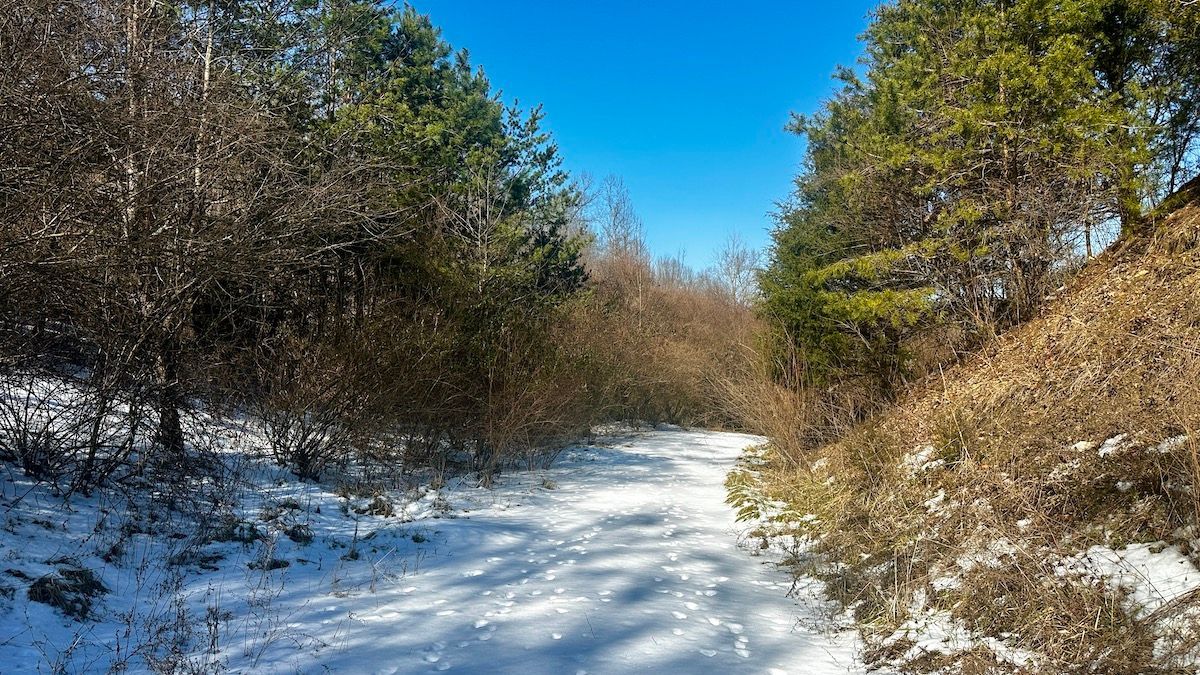 Sizeable Tract Of Vacant Land Near The West Virginia/Kentucky Border ...