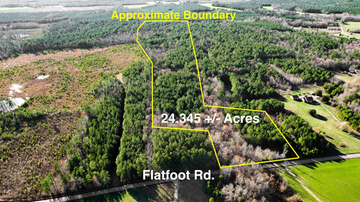 Diverse Rural Wooded Building Lot For Sale Near Stony Creek | Whitetail ...