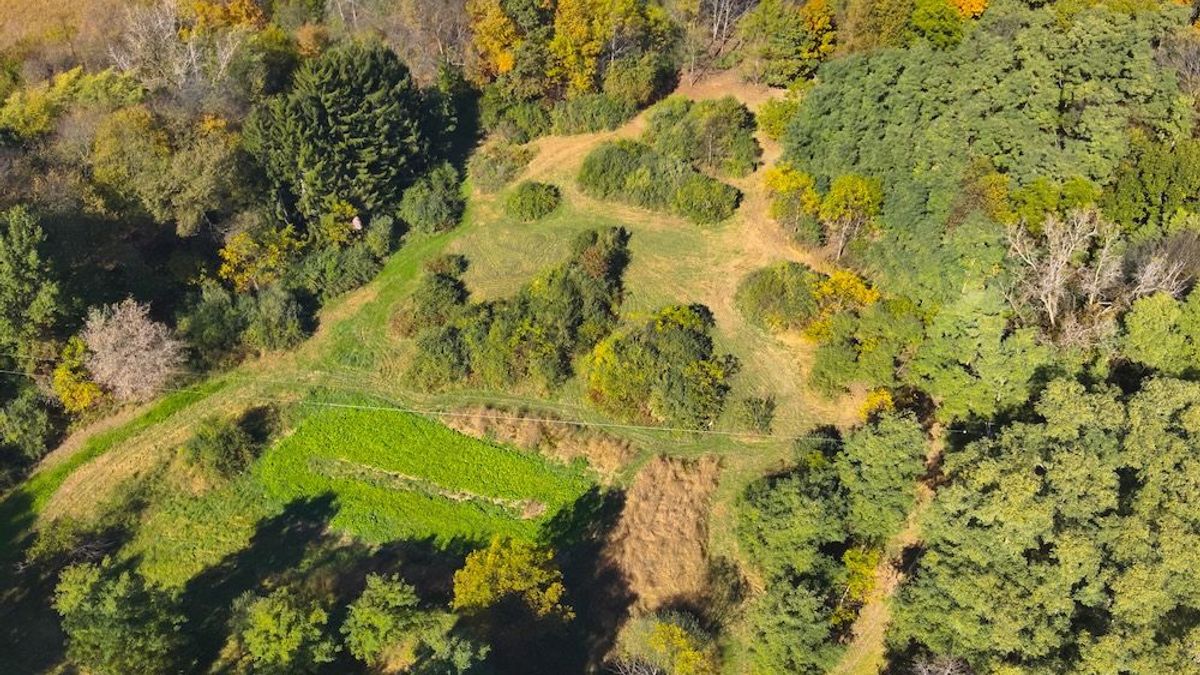 Hunting Retreat Near Waterloo State Game Area – Turnkey Property With ...