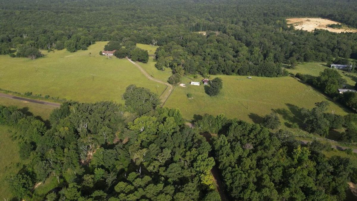 East Texas Cattle And Hunting Ranch | Whitetail Properties