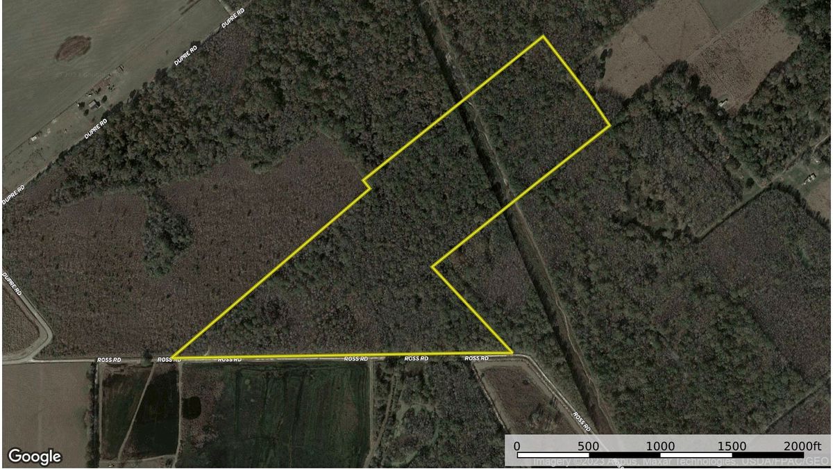 Young Timber Tract Well Suited For A Ranch | Whitetail Properties