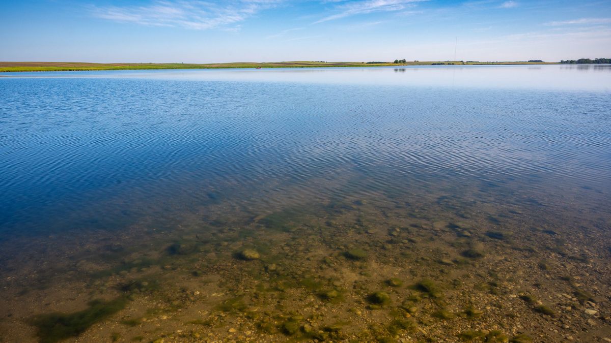 Lynn Lake Waterfront Acreage | Whitetail Properties