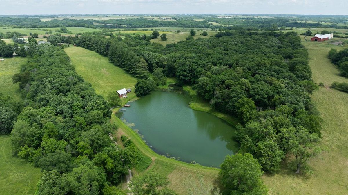 Private Acreage With Pond And Cabin Near The Skunk River | Whitetail ...