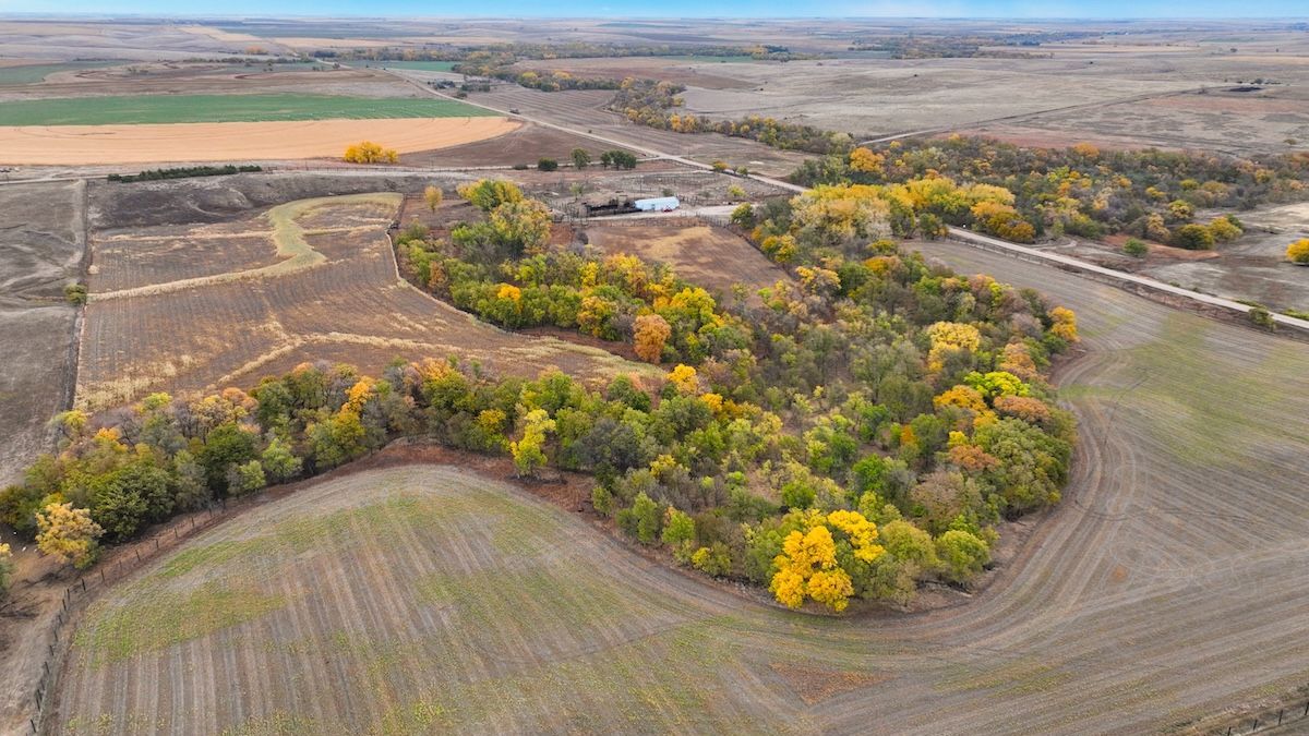 The Solomon 80 Hunting Retreat | Whitetail Properties