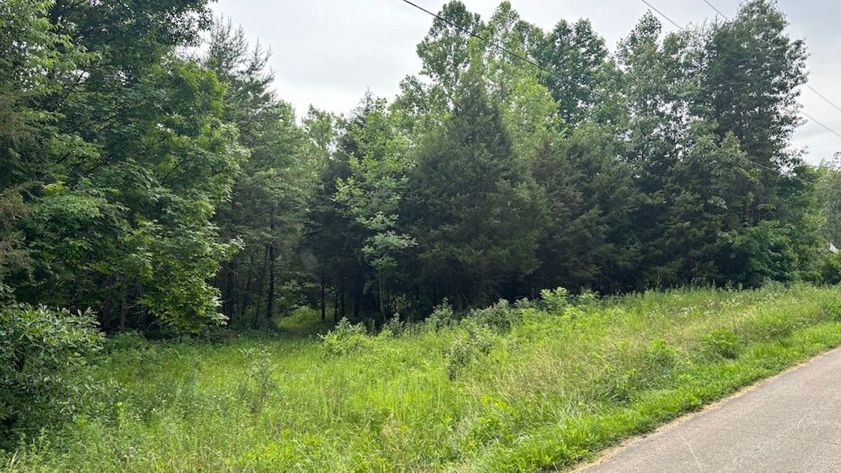 Secluded Buildable Retreat Bordering Clark State Forest | Whitetail ...