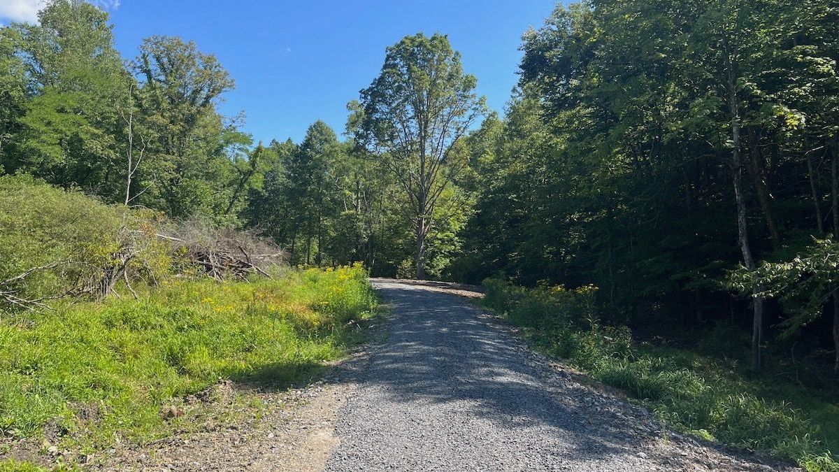 Wooded Acreage With Driveway And Cleared Homesite | Whitetail Properties