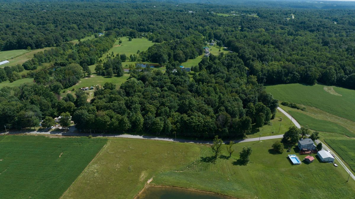 Quiet Wooded Country Lot With Building Site Surrounded By Wildlife ...