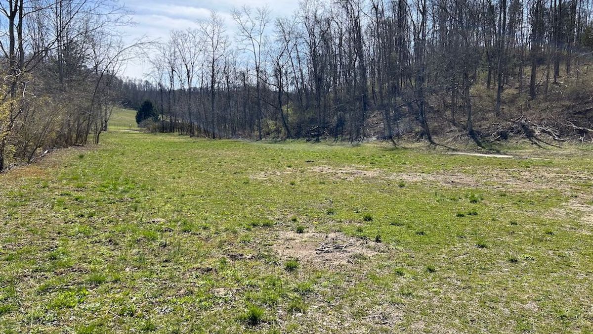 Affordable Building Site And Great Hunting Near Pike Lake State Forest ...