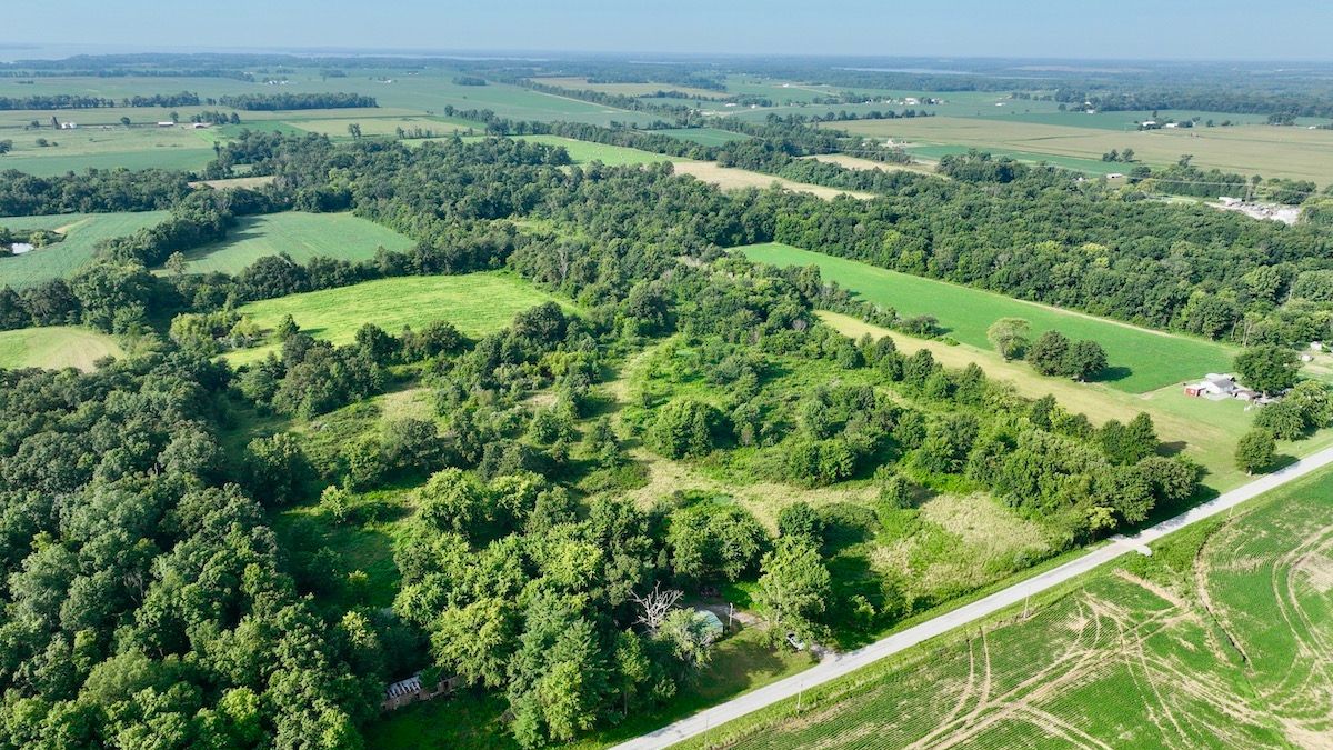 Diverse Hunt Tract With Cabin Near Rend Lake | Whitetail Properties