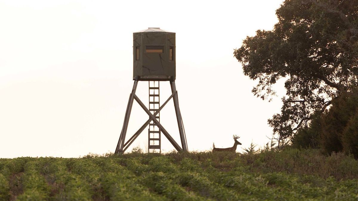 Proven Big Buck Farm Within Half Mile Of The Iowa State Line ...