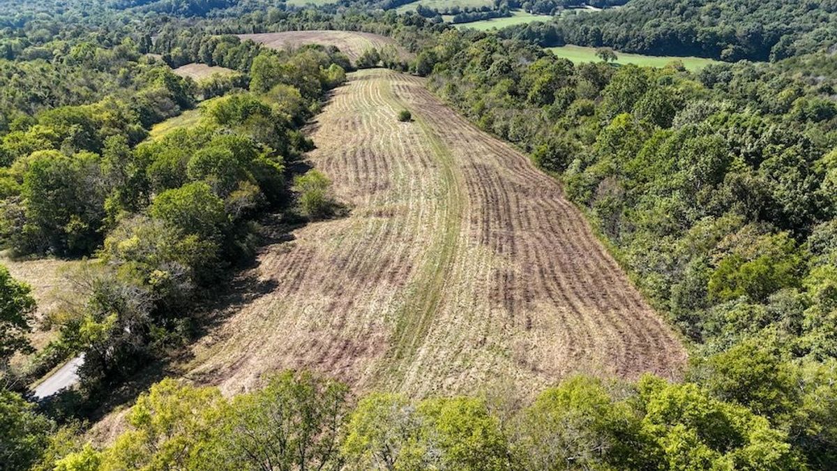 Buildable Farm With Open Pasture And Multiple Building Sites ...