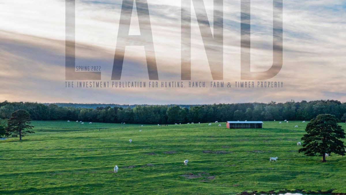 American Land Digital Magazine | Whitetail Properties
