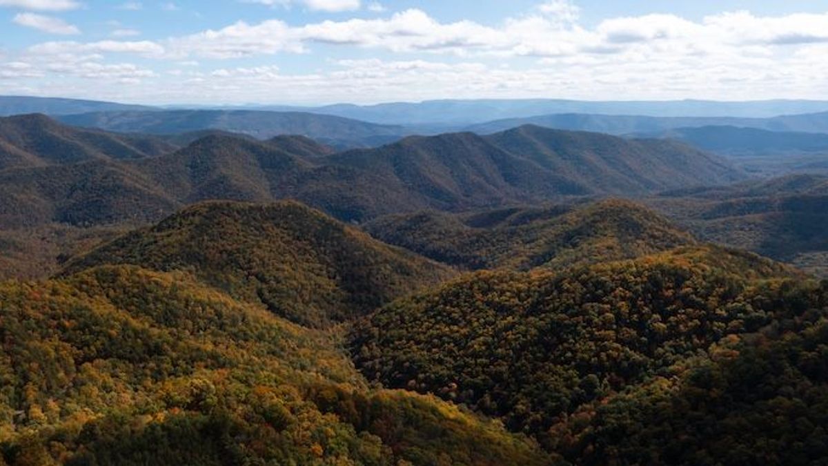 Delaware Land for Sale | Whitetail Properties