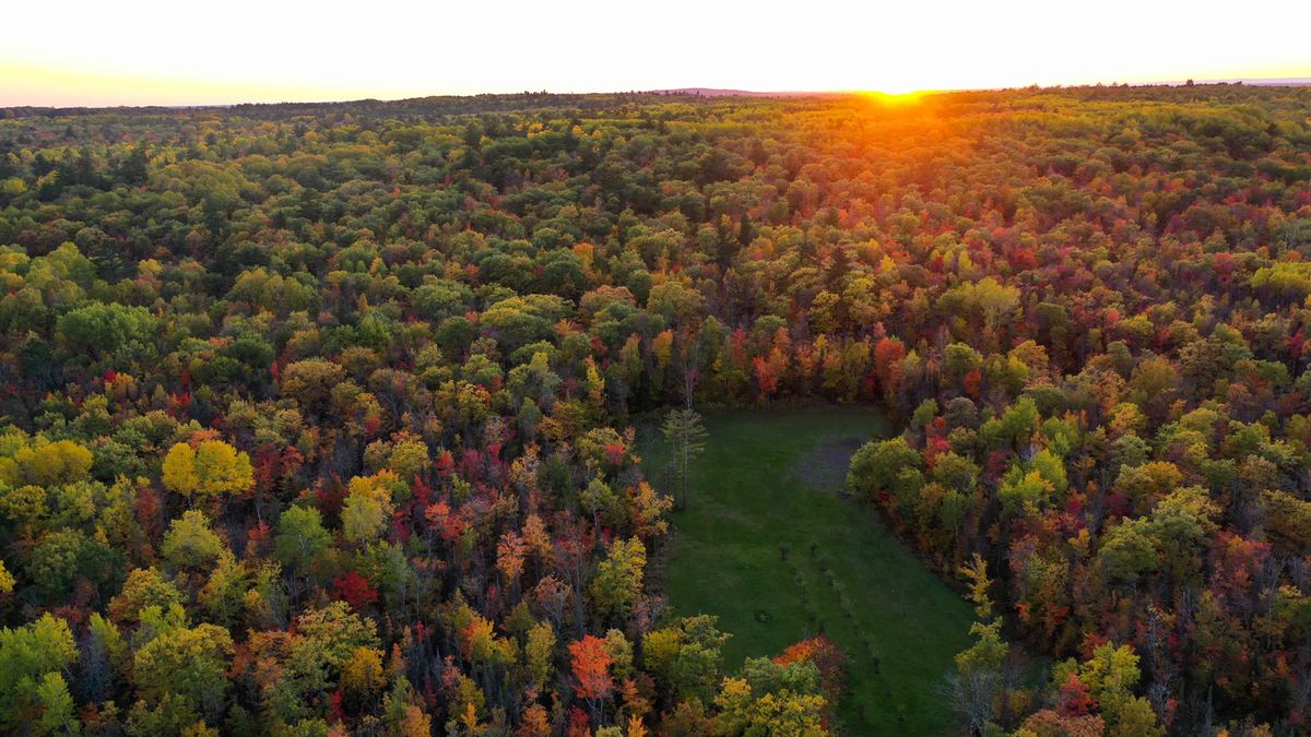Wisconsin Land for Sale | Whitetail Properties