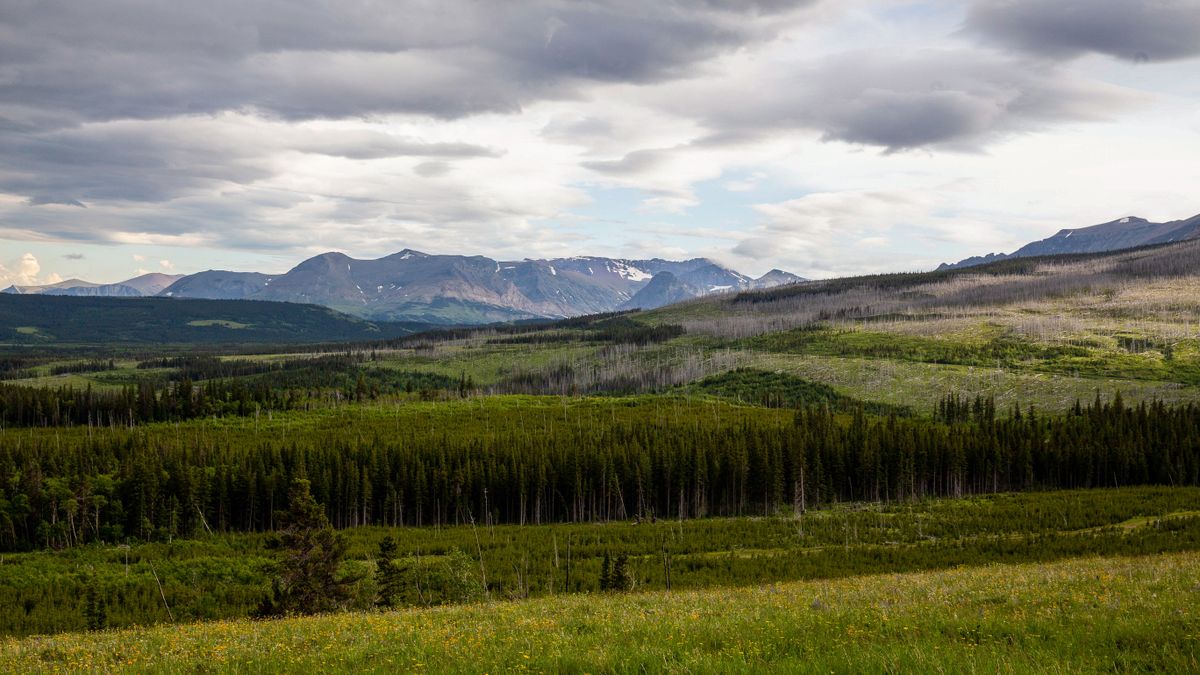 Wyoming Land for Sale | Whitetail Properties