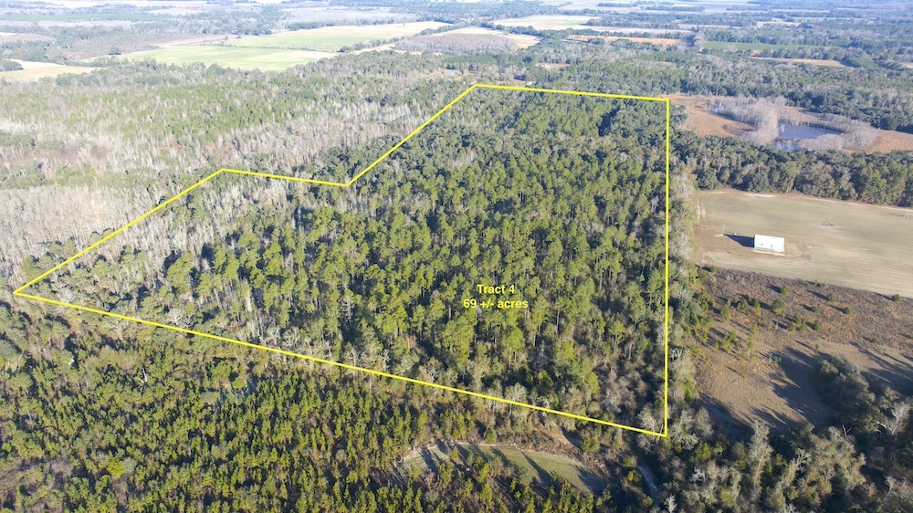 Land for Sale - Logan Loop Rd Tract 4, Lot#WP004, Malone, FL 32445 - 69 ...